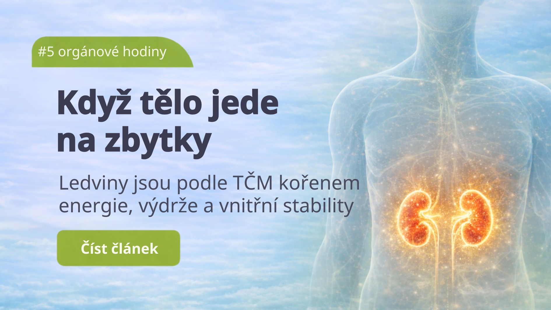 Ledviny: když tělo jede na zbytky | VIGRES