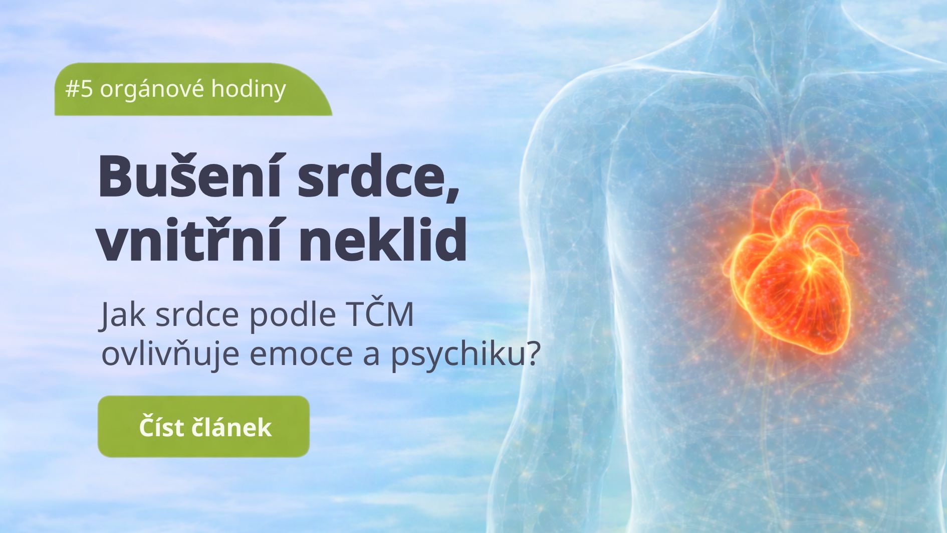 Srdce: když duše bije rychleji než tělo | VIGRES